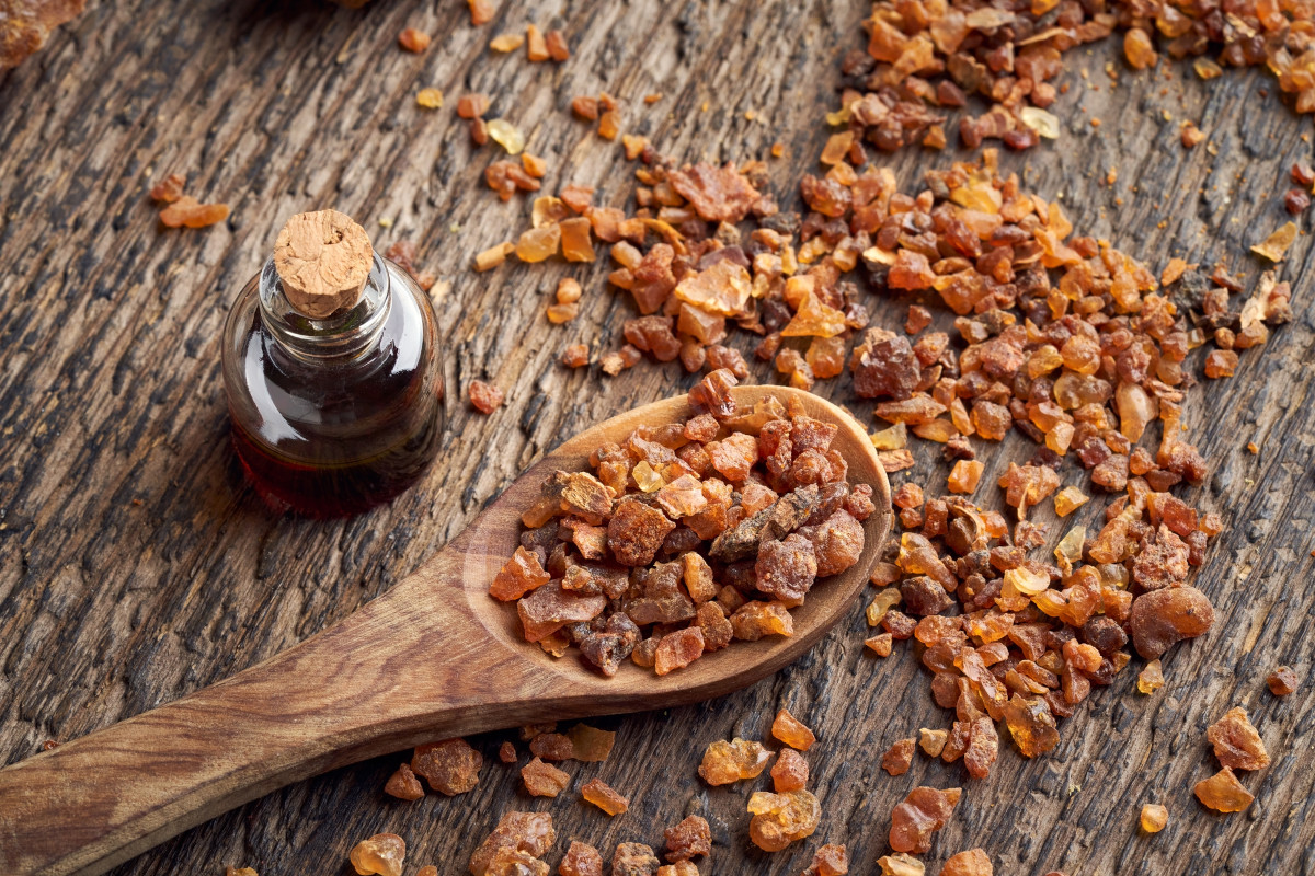 The Meaning Benefits Of Myrrh Resin Reed s Handmade Incense The Meaning Benefits Of Myrrh Resin Reed s Handmade Incense