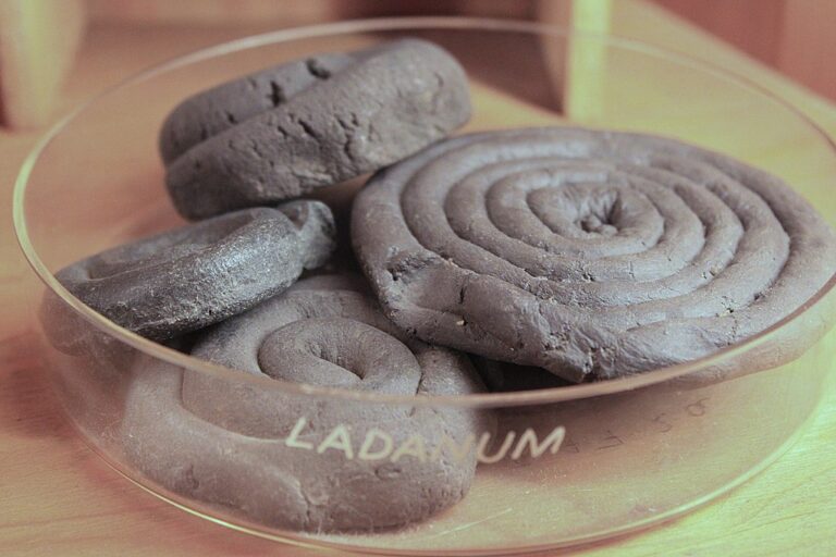 Tracing the Meaning of Onycha