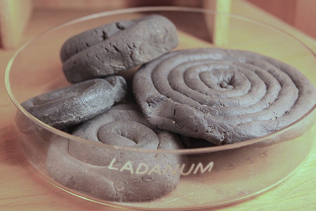 Tracing the Meaning of Onycha